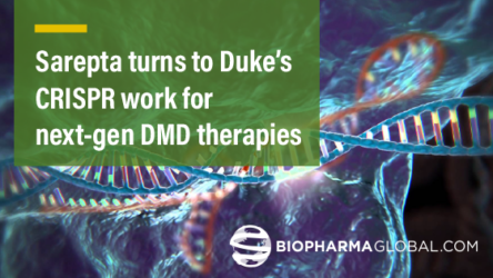 Sarepta turns to Duke’s CRISPR work for next-gen DMD therapies ...